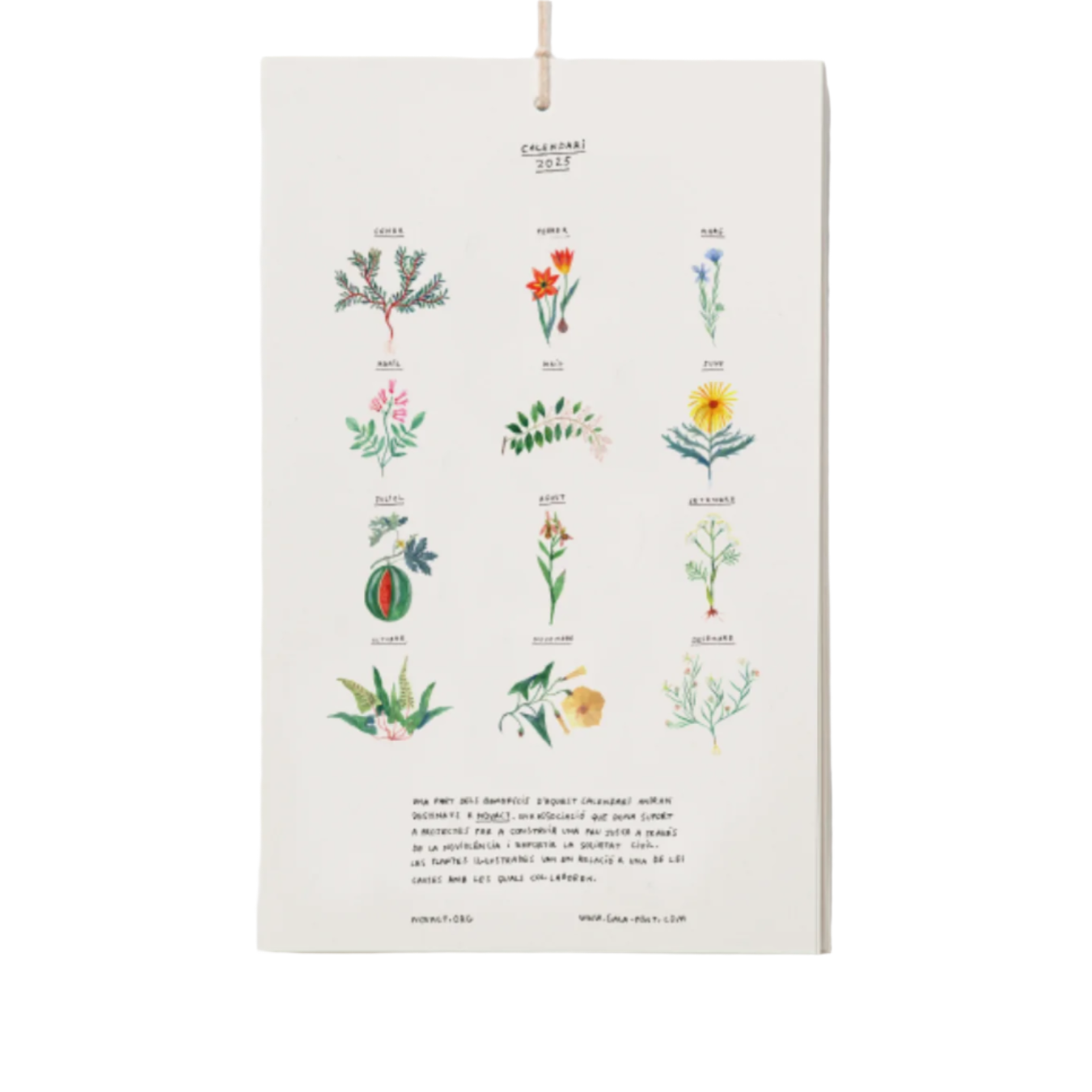 Calendario Botánico Gala Pont 2025 – Chandal
