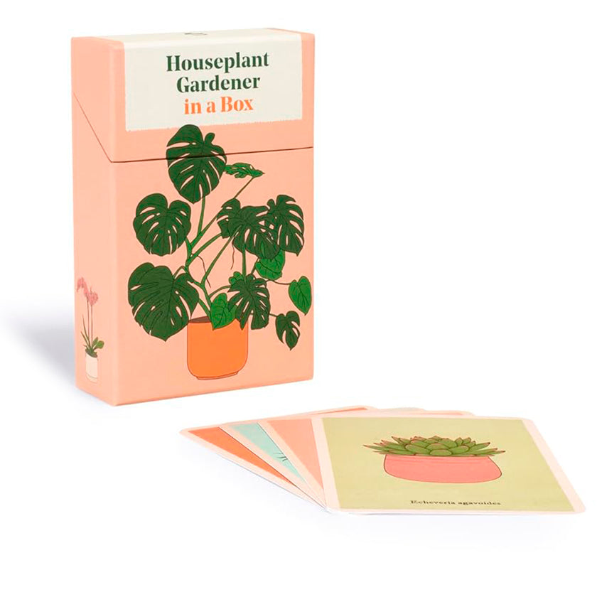 Houseplant Gardener in a Box: How to Care for Indoor Plants – Chandal