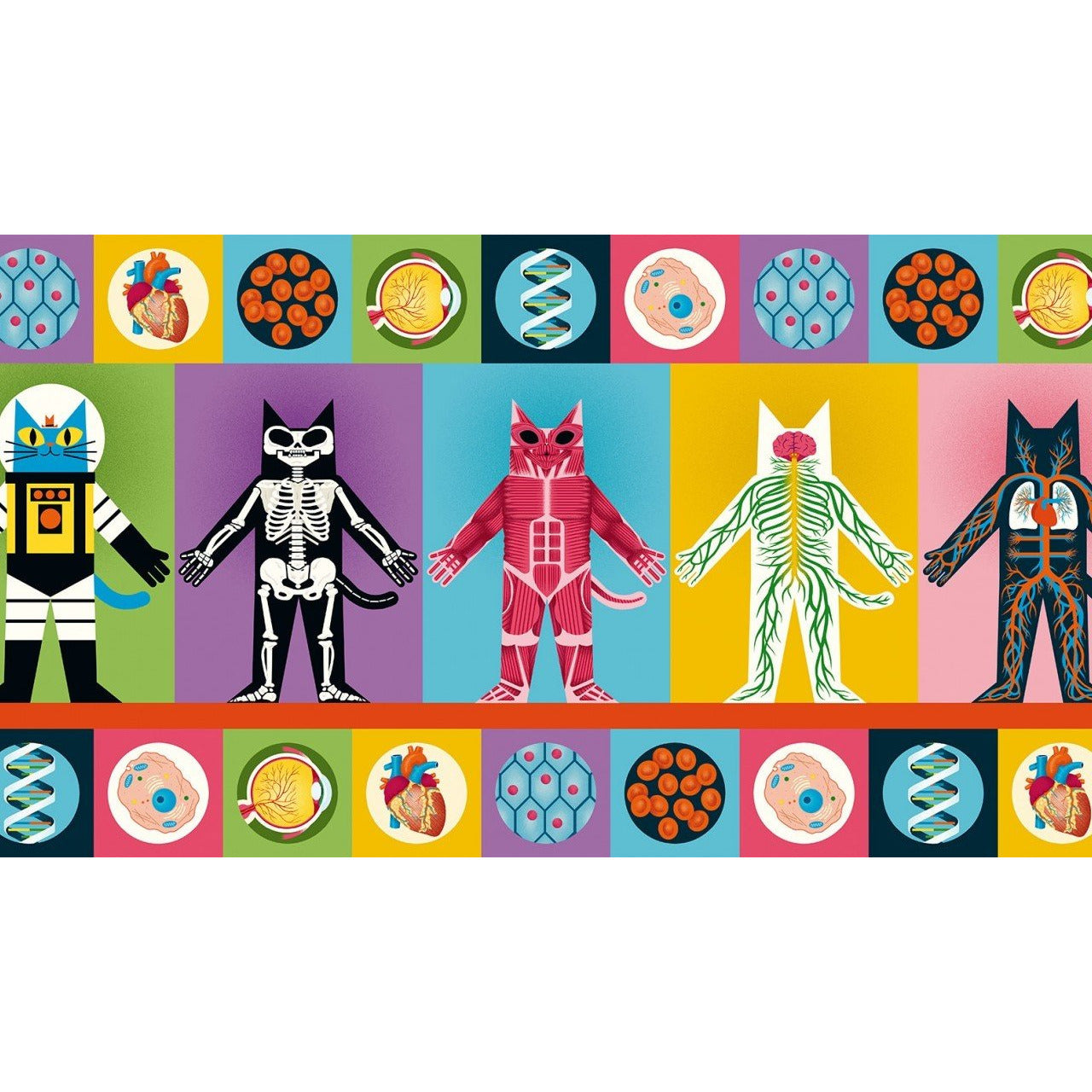 El Profesor Astro Cat y La Odisea del Cuerpo Humano – Chandal