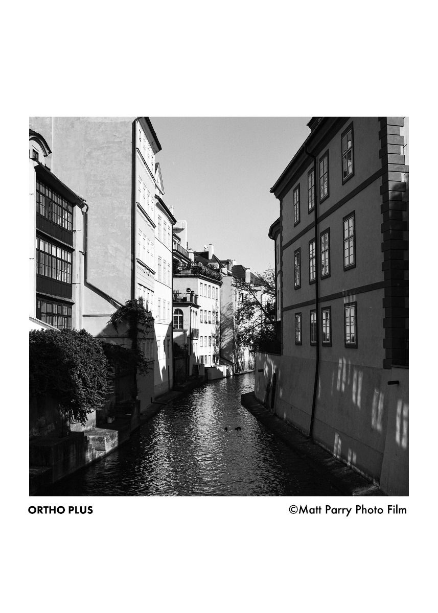 película – Chandal